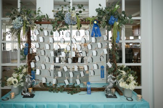 Bar Bat Mitzvah Decoration Experts | MitzvahMarket